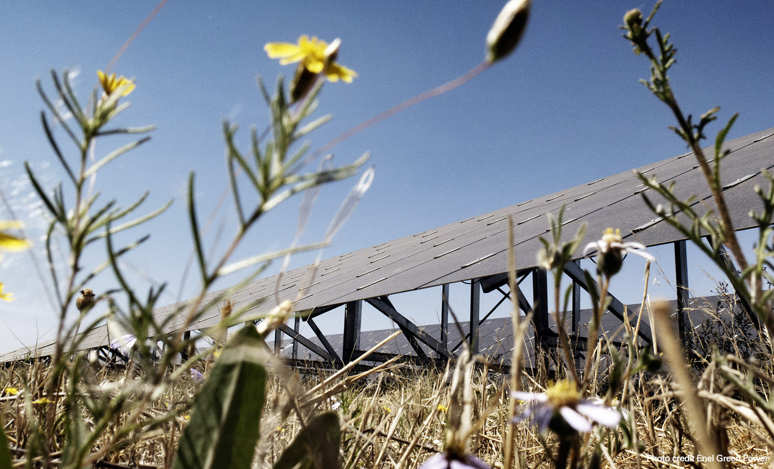 Already active in Morocco, Enel is launching projects in other African ...