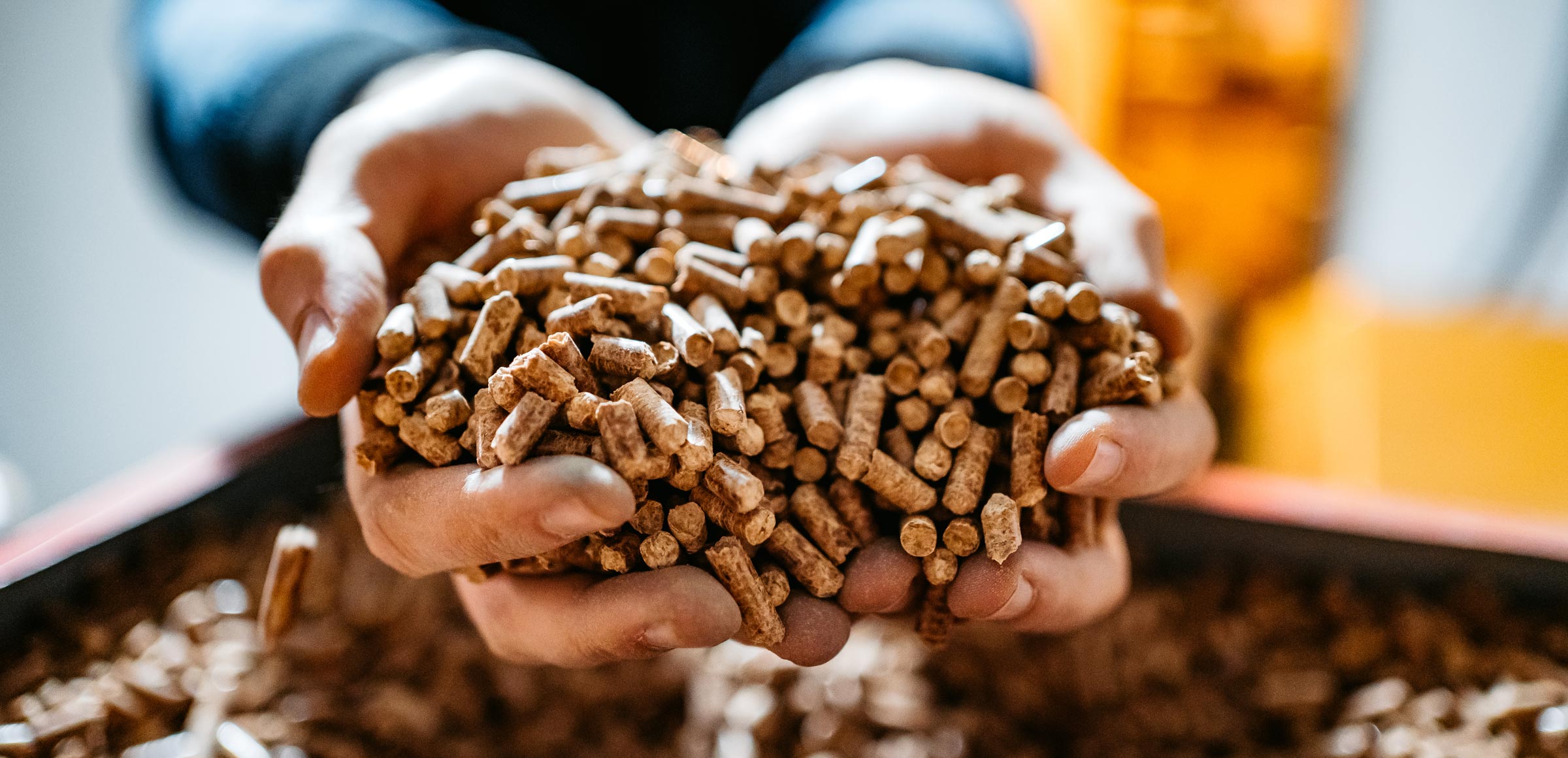Biomass energy: what it is and how it works | Enel Group