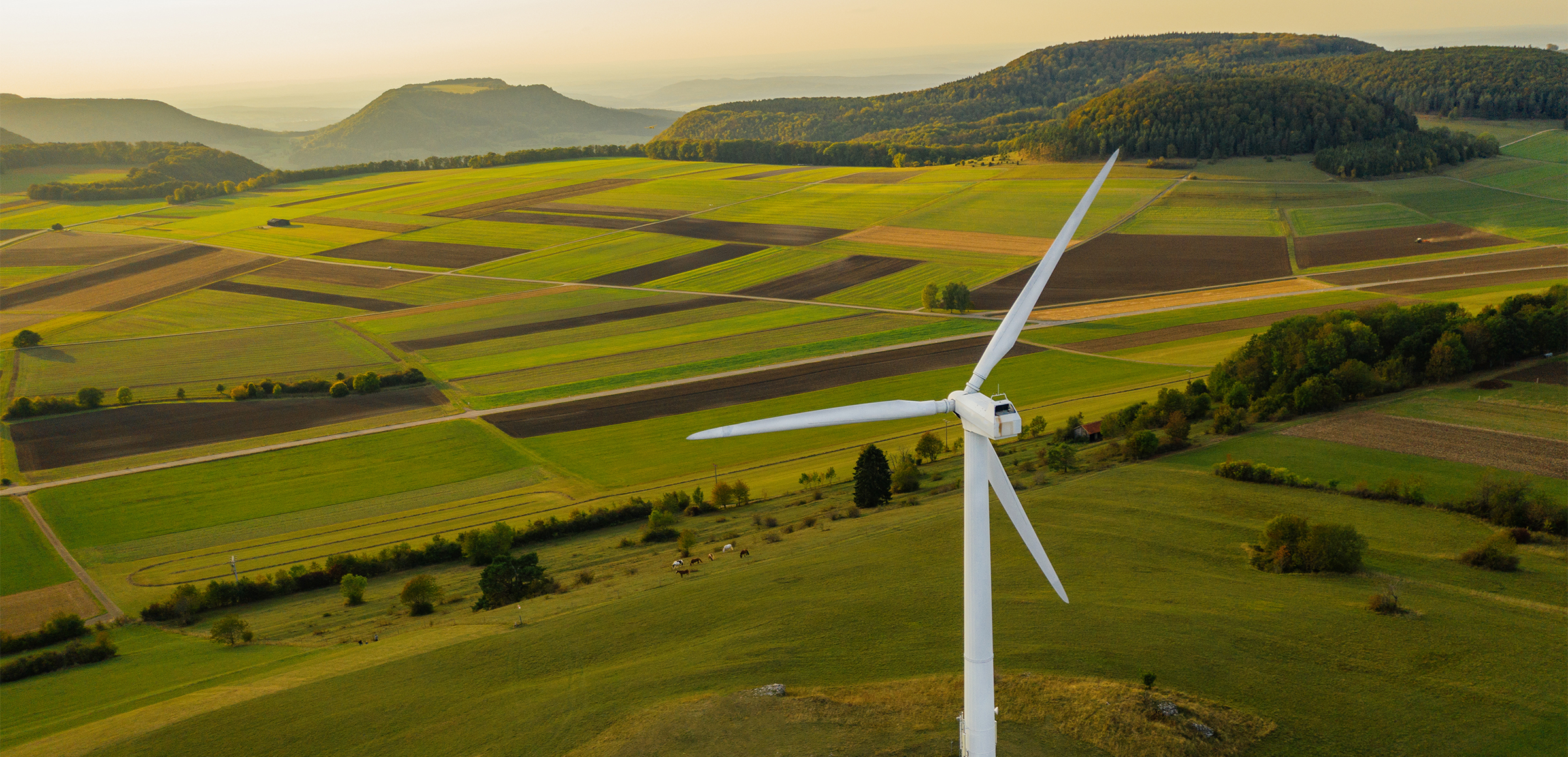 are windmill farms profitable