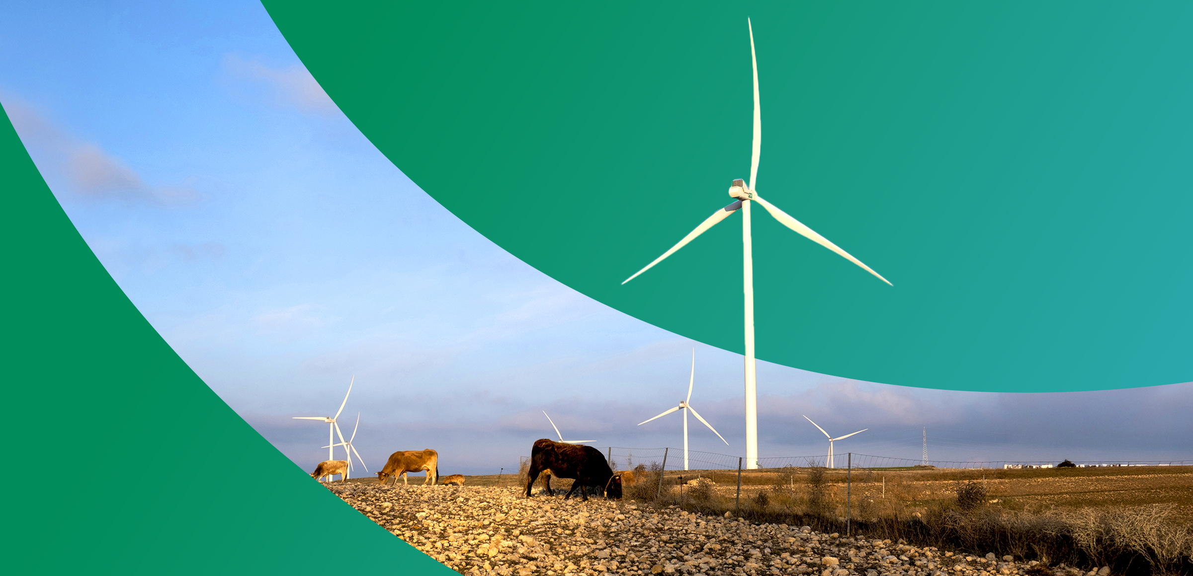 Energy Transition for sustainable growth | Enel Group | Enel Group