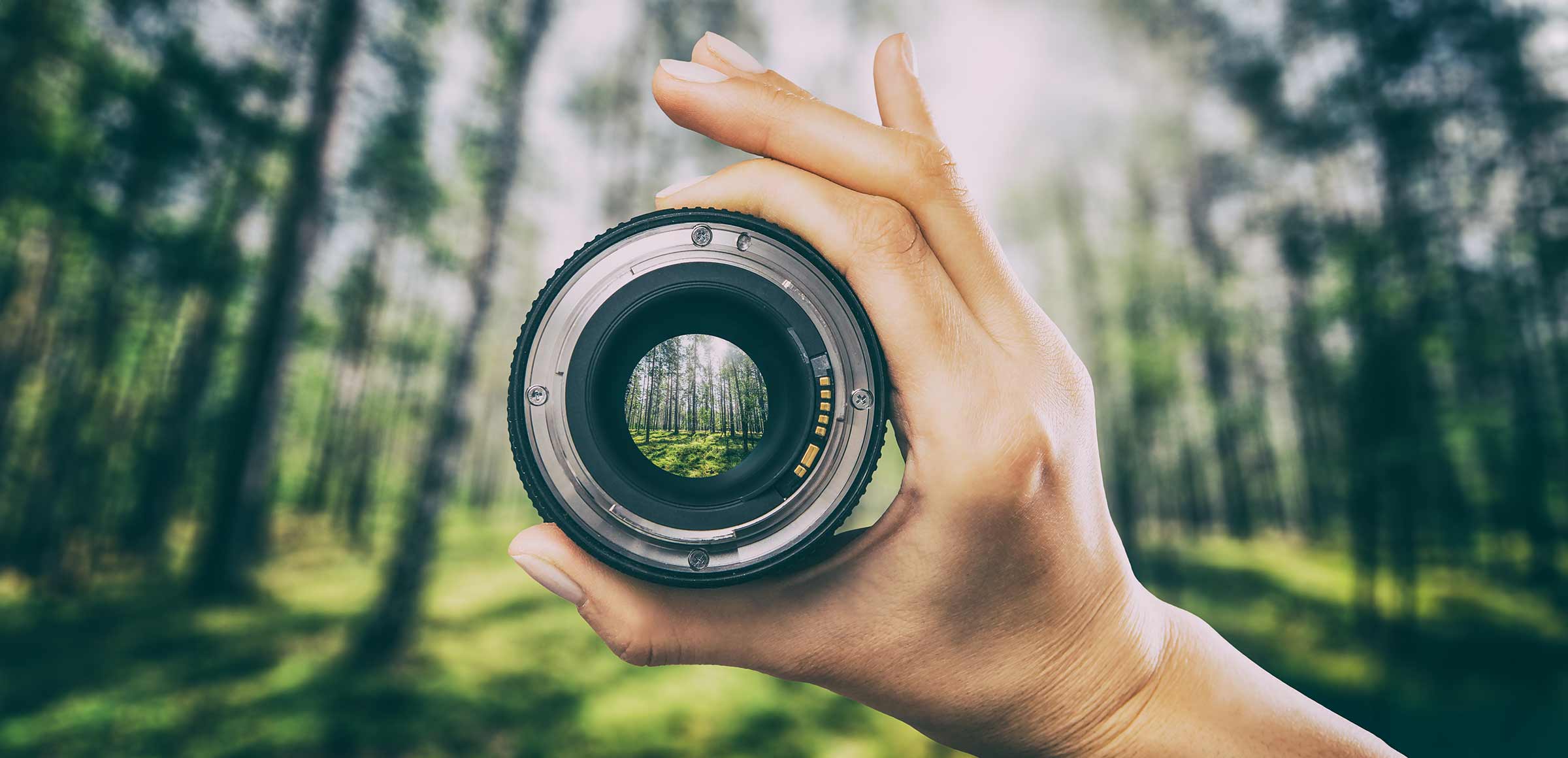 Our Strategy for Sustainable Progress | Enel Group